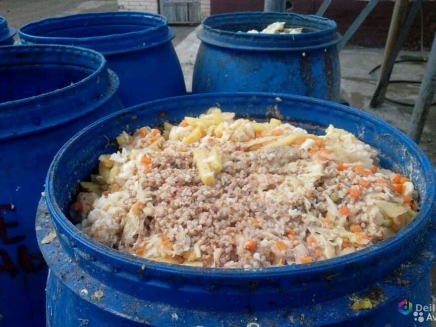 Пищевые отходы из садика. Доставка