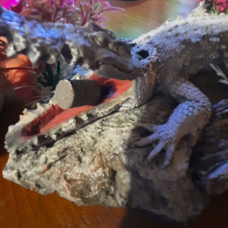 Грот распылитель воздуха