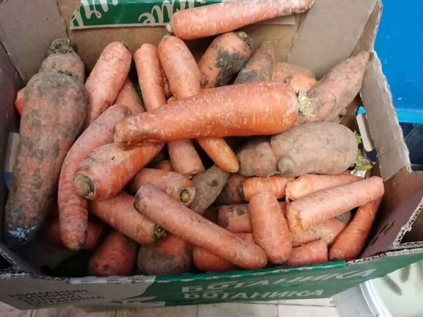 Овощи на корм животным