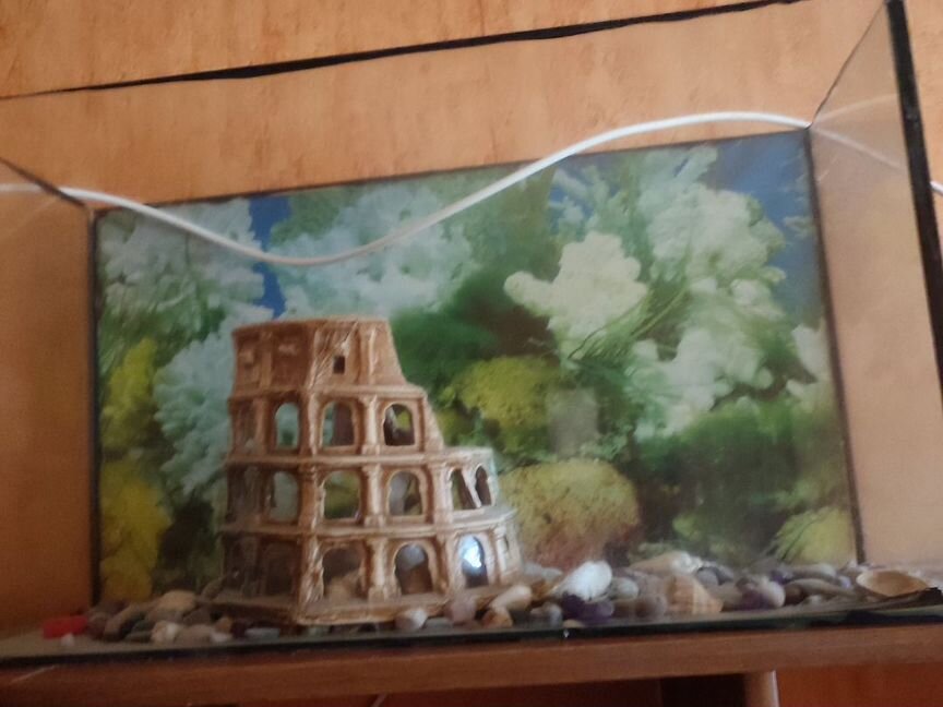Аквариум с декором