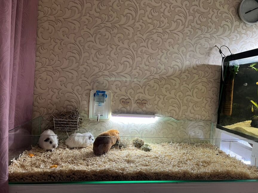 Стеклянный короб