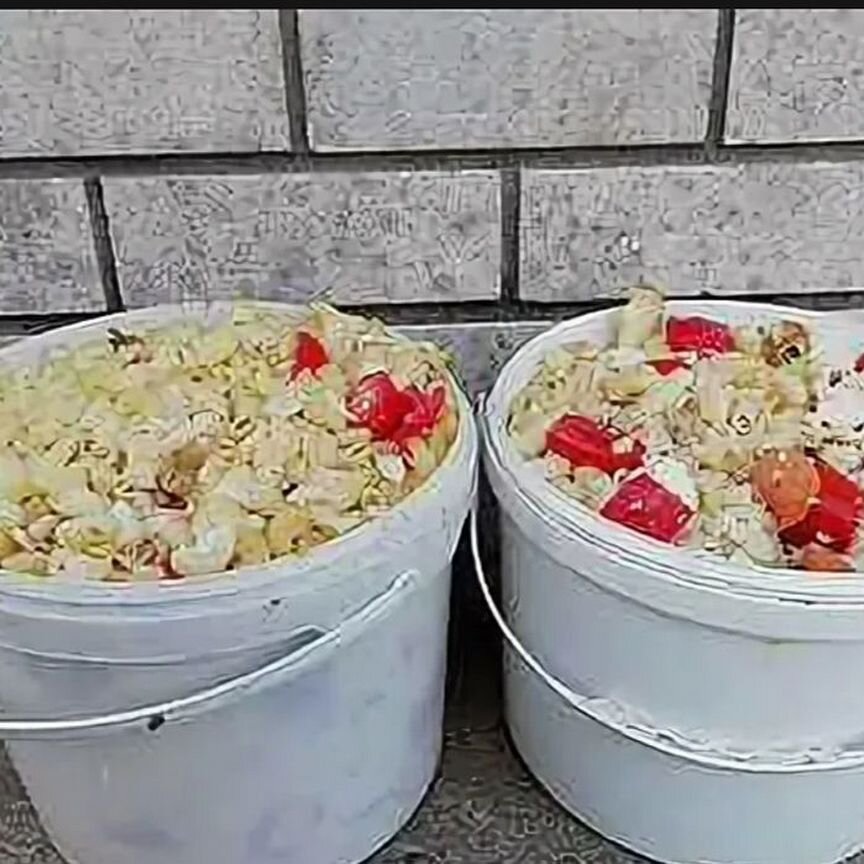 Пищевые отходы для животных