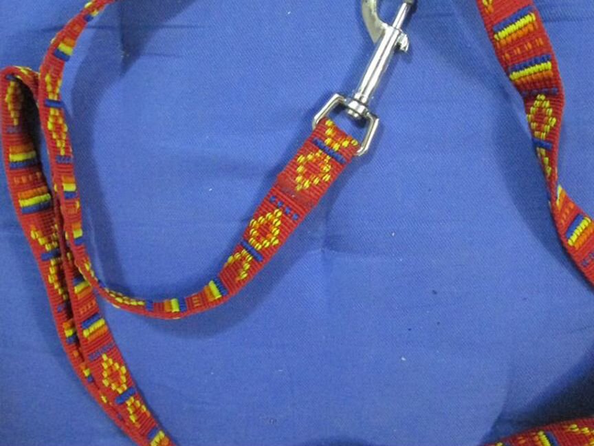 Поводок для домашних животных