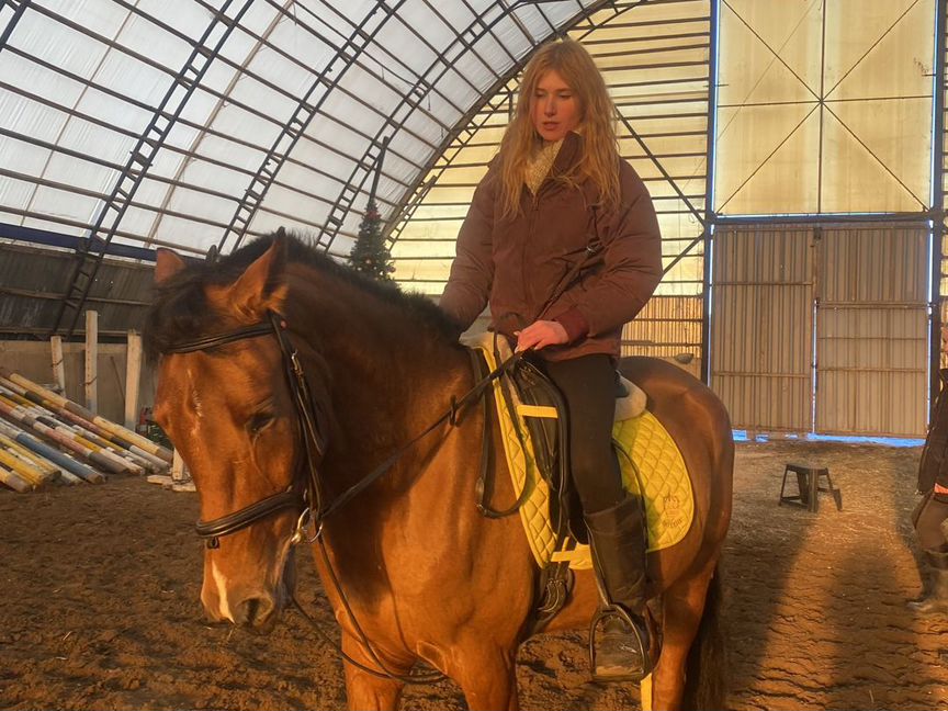 Комплект желтого выездкового вальтрап+бинты