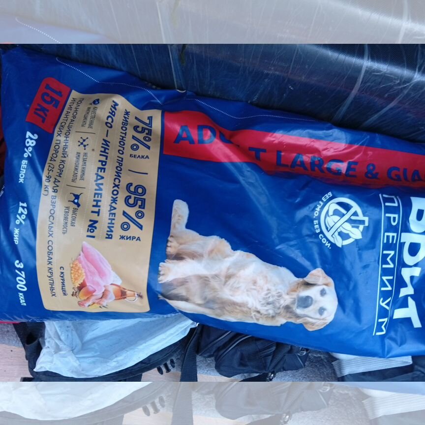 Корм для собак