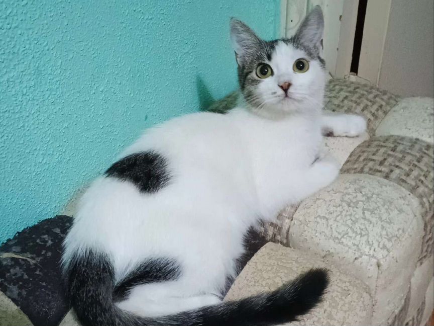 Машуня ищет семью