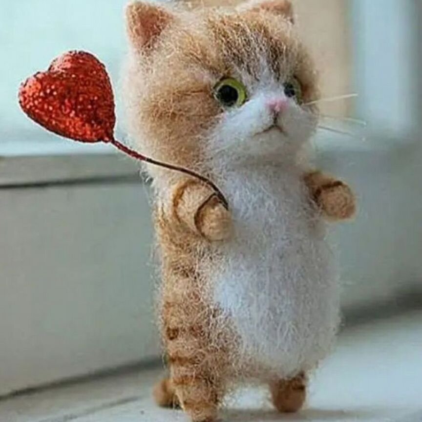 Бесплатно Шерсть/подшерсток рыжего кота