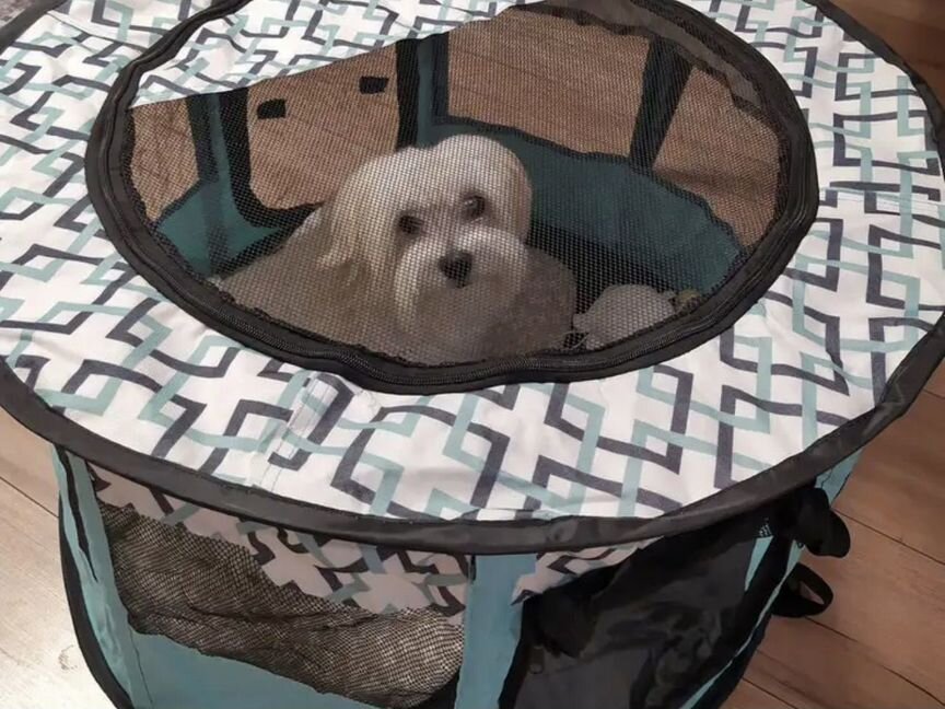 Вольер тент для животных складной