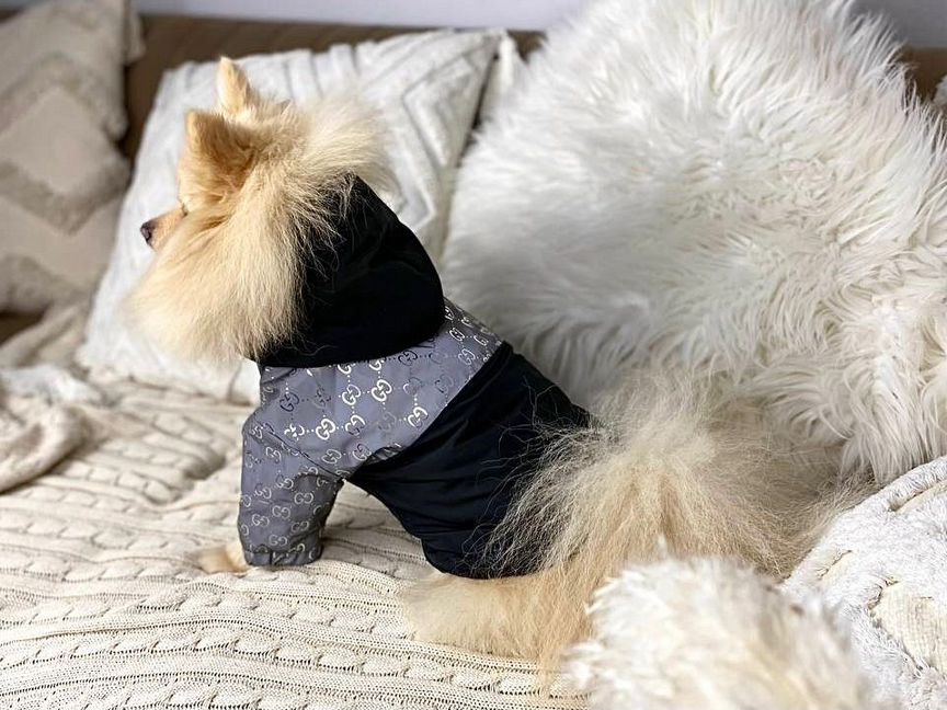 Куртка для собак gucci светооражающая