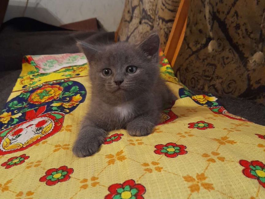 Добрые руки