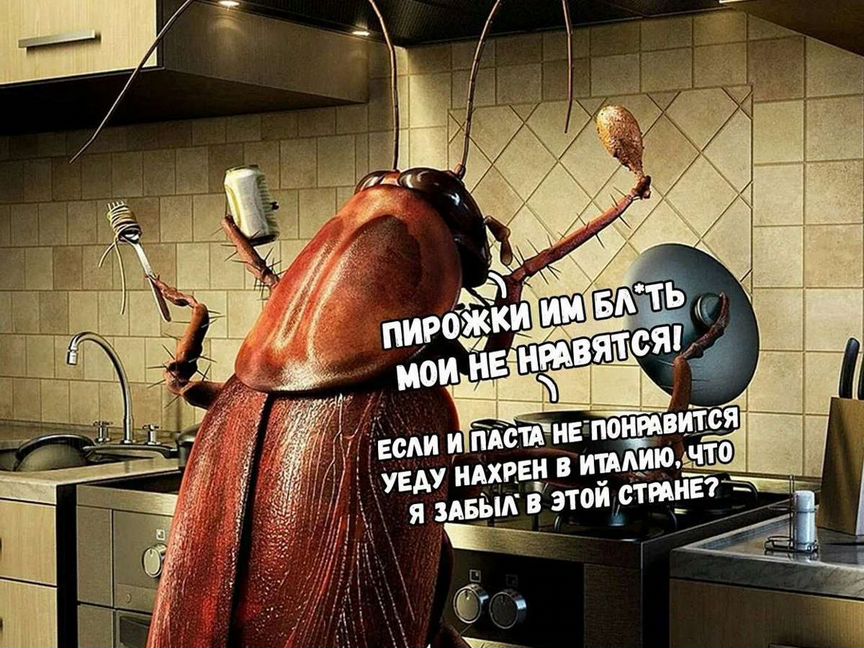 Избавим от тараканов навсегда