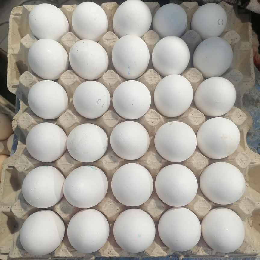 Яйца фабричные