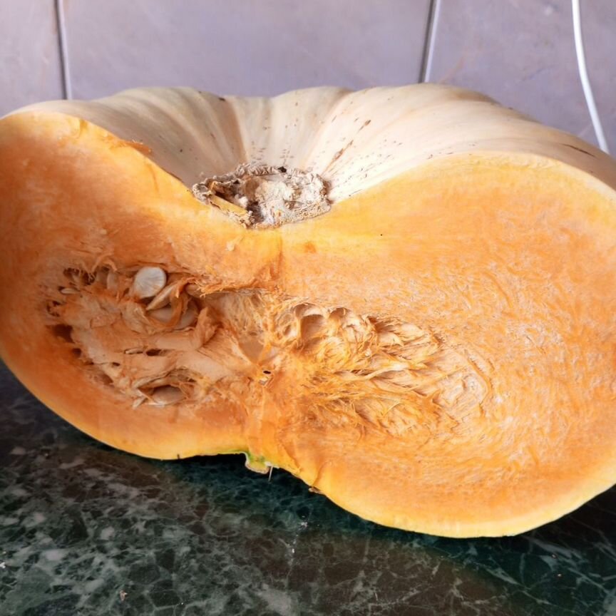 Тыква на корм