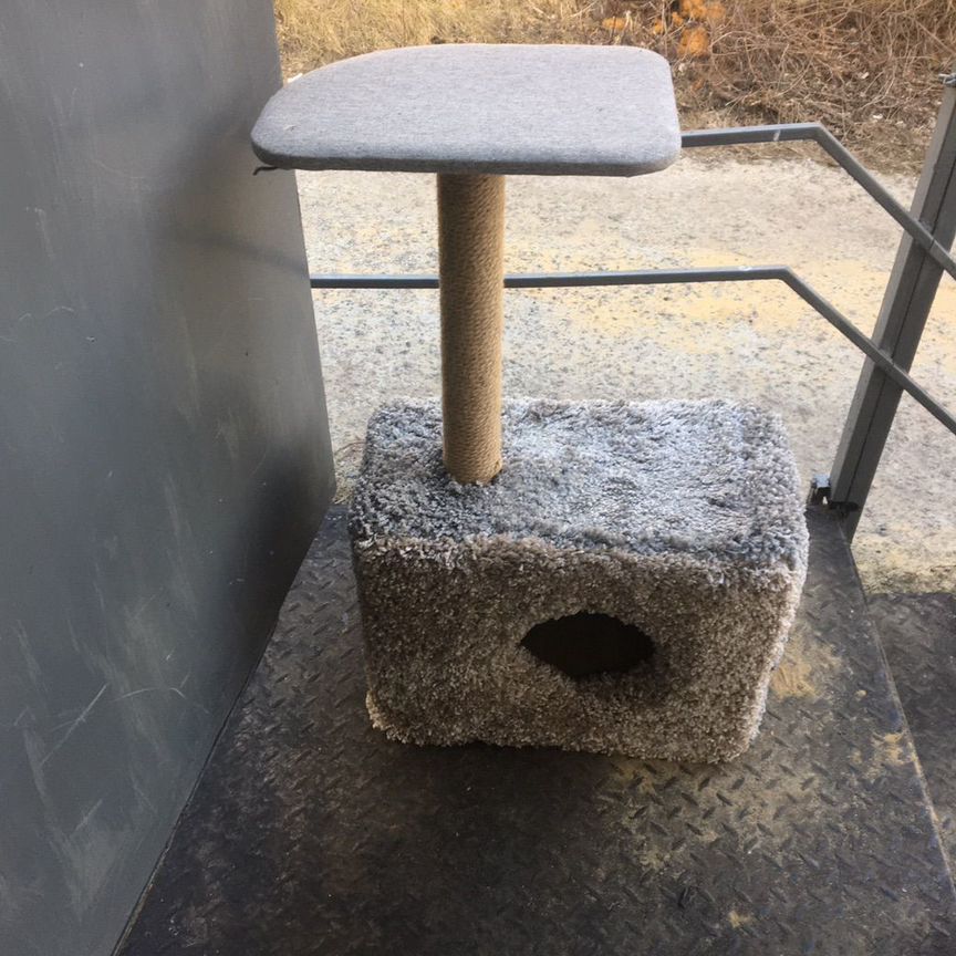 Когтеточка домик для кошки