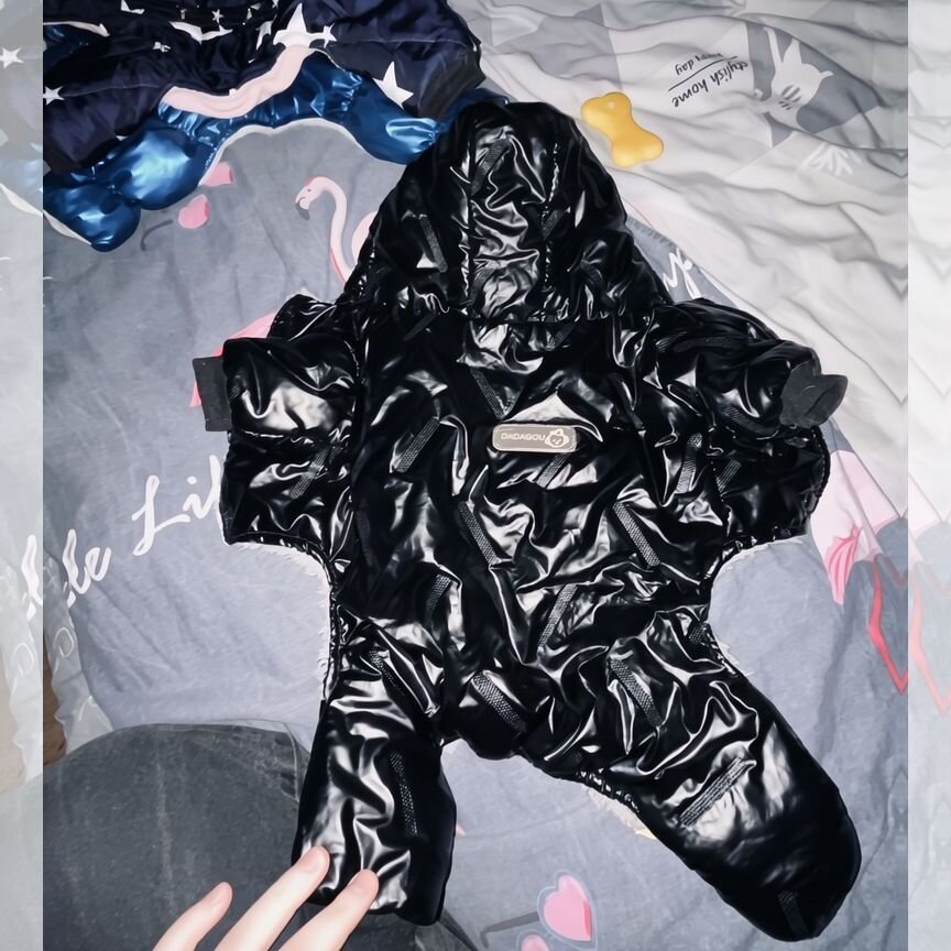 Одежда для собак мелких пород зима