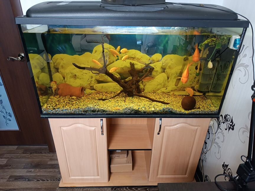 Аквариум с тумбой 400 литров