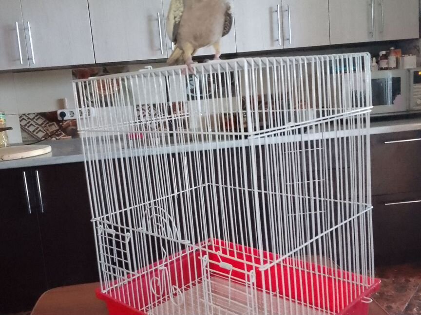 Клетка для попугая