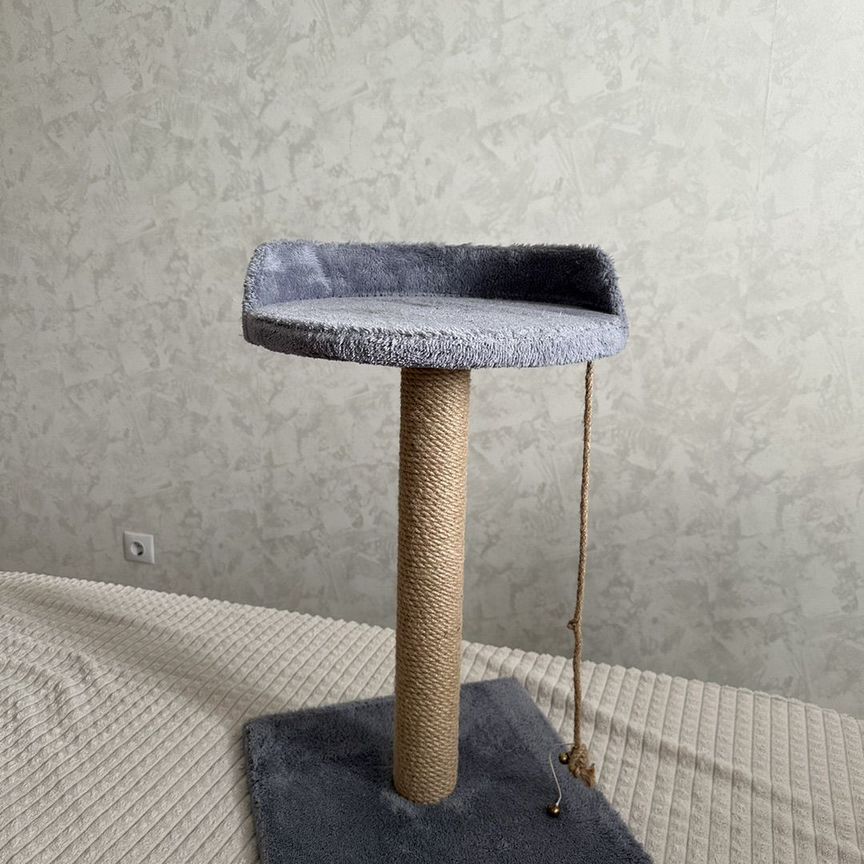 Когтеточка