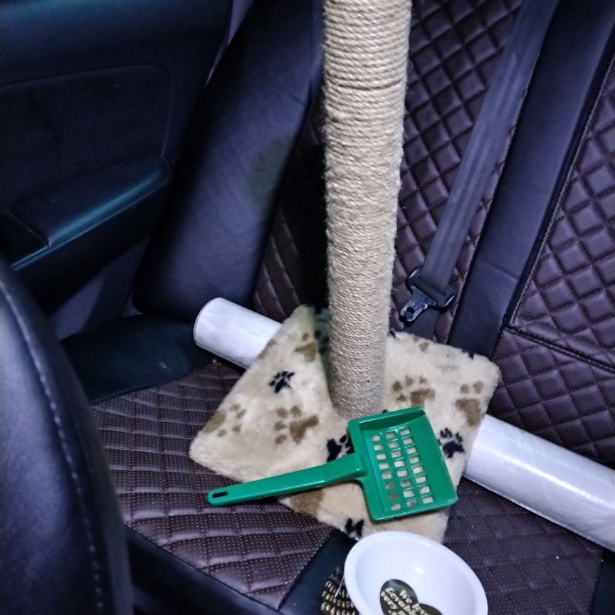 Когтеточка для кошек