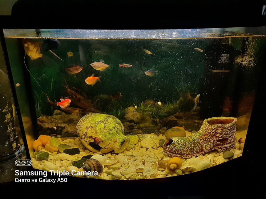 Продам аквариумы с рыбками