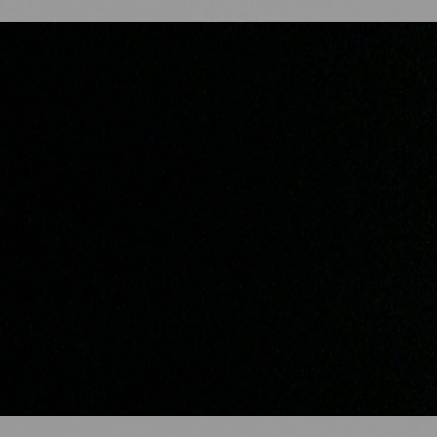 Восточноевропейская овчарка, щенок