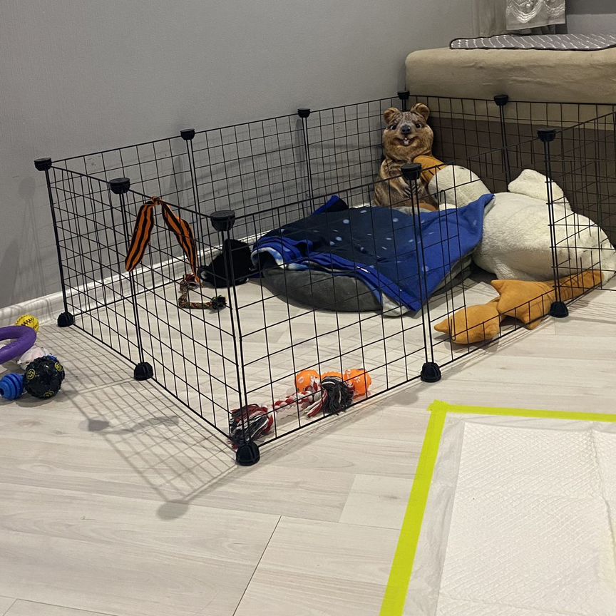 Вольер для собак