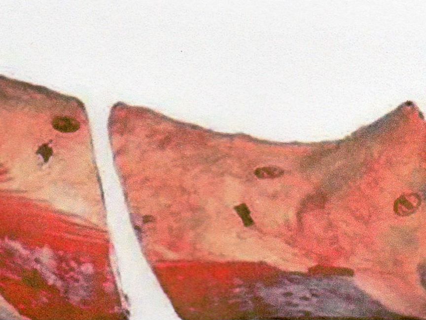 Продам говядина