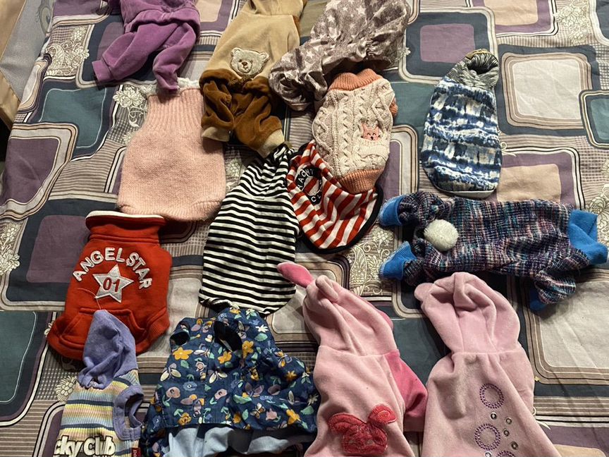 Вещи на собаку мини пакетом