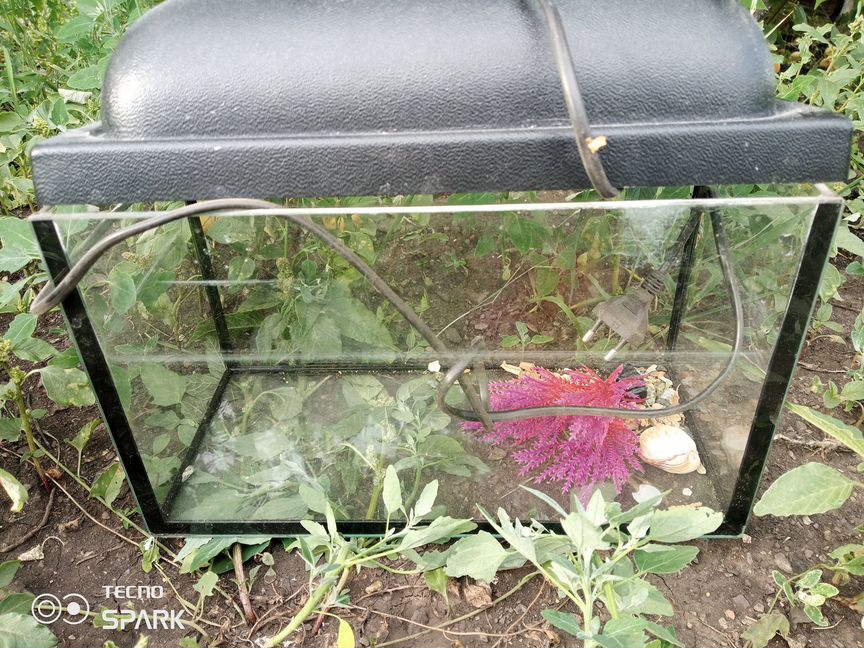 Аквариум с фильтром