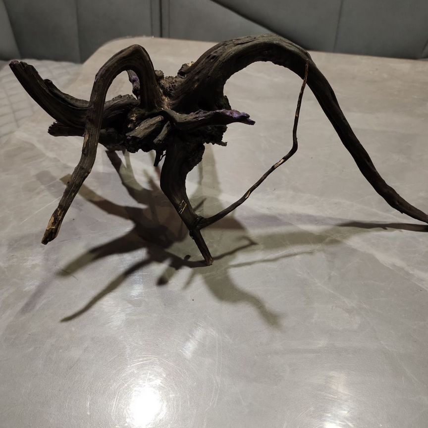 Корень мангрового дерева, декор в аквариум