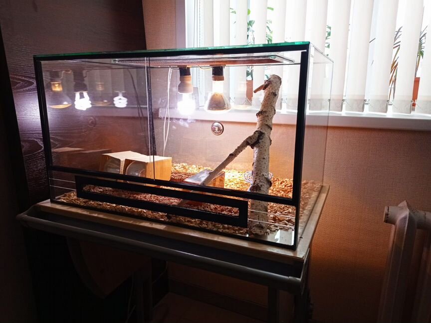 Террариум для рептилий
