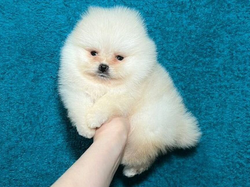 Мальчики и девочки