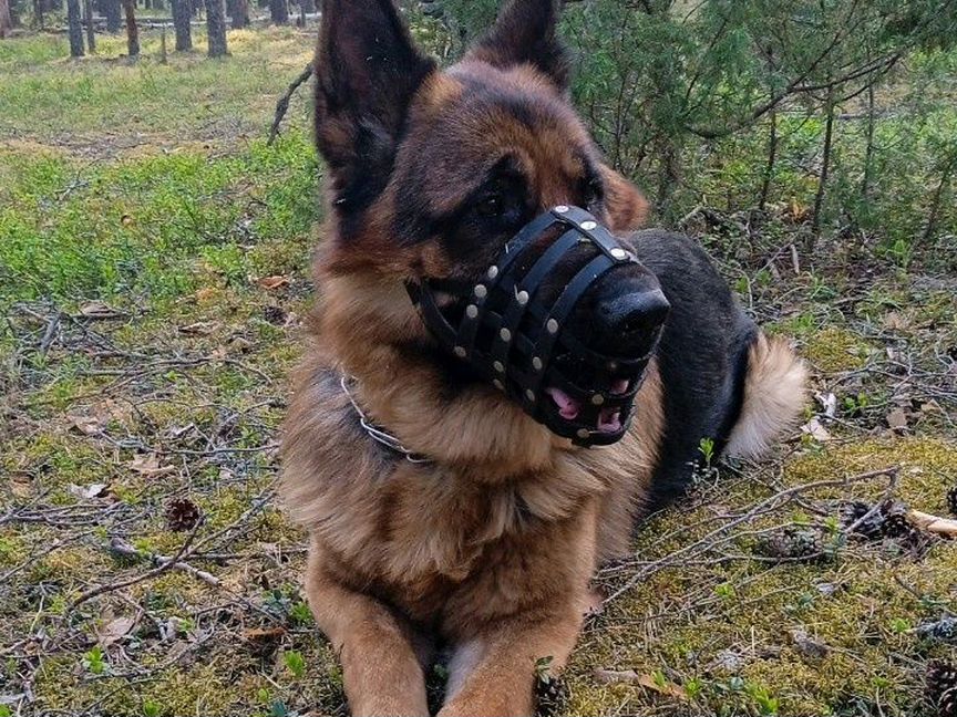 Вязка