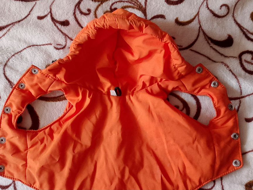 Одежда для маленьких пород собак