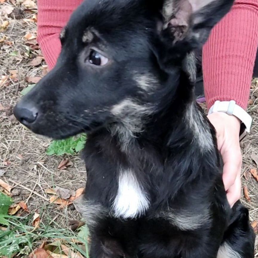 Малыш нуждается в семье