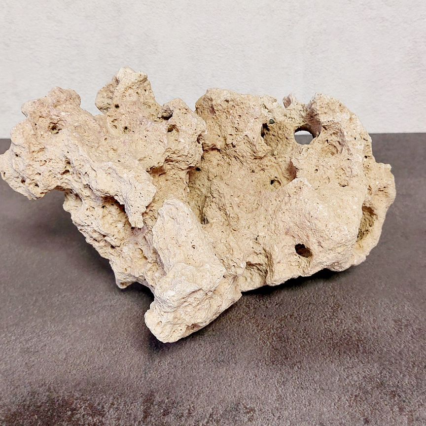 Коралл морской для аквариума натуральный