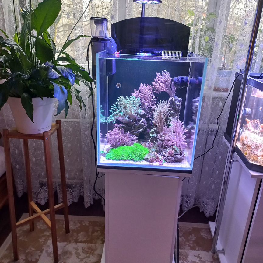 Морской аквариум 90л полный комплект