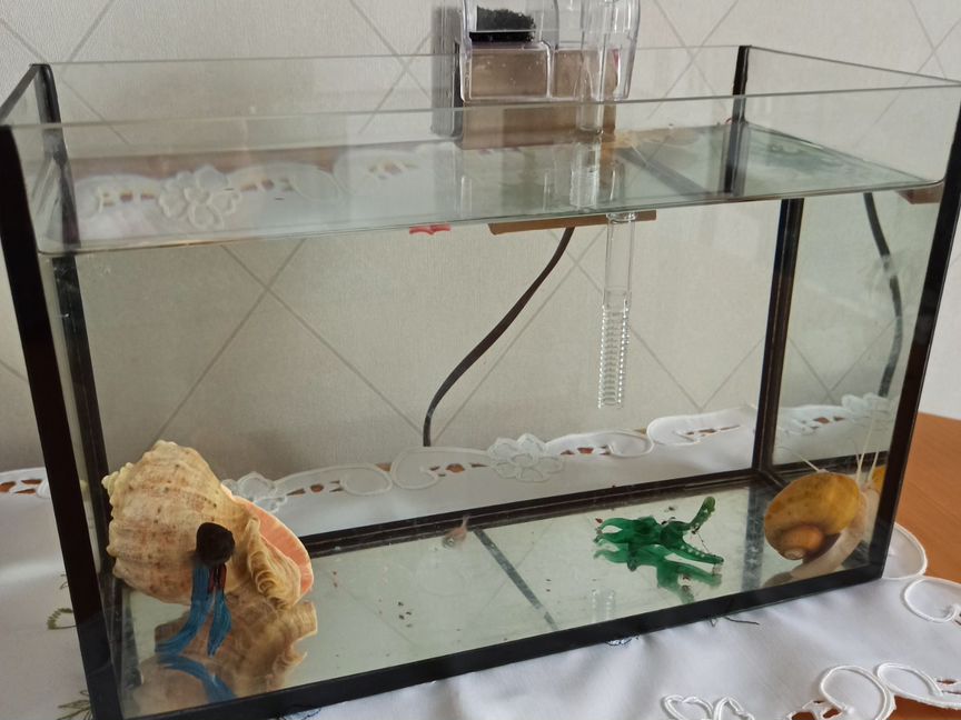 Аквариум с рыбками и фильтром