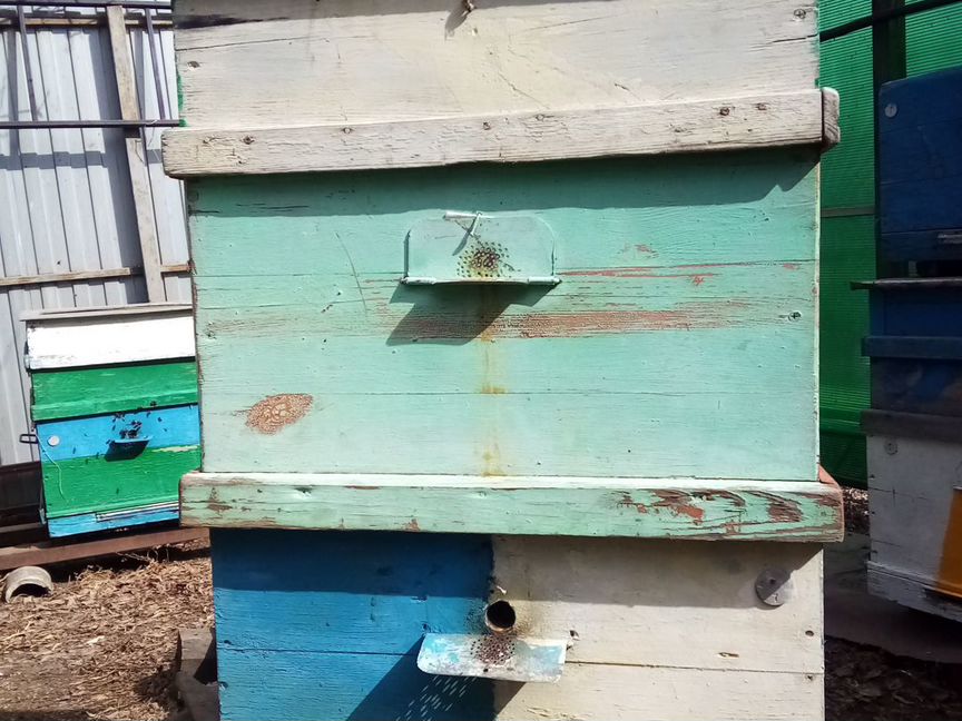 Ульи для пчел бу