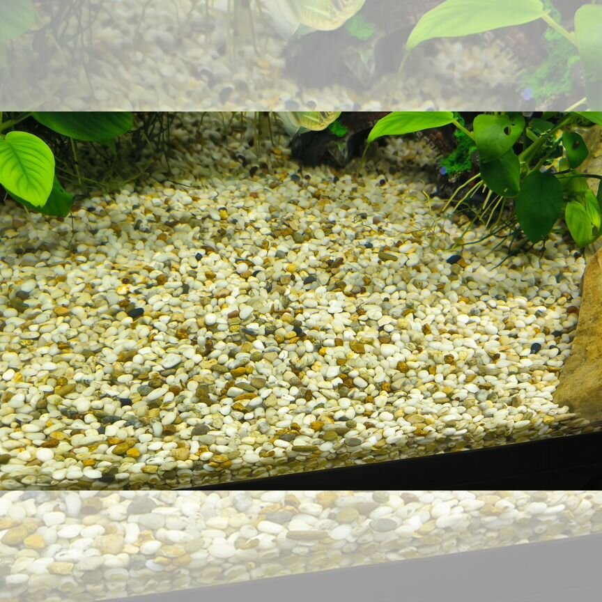 Грунт для аквариума жемчужный 3-5 мм