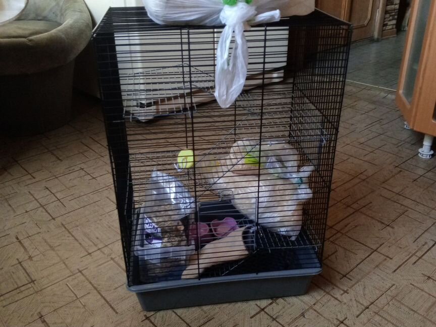 Клетка для грызунов продам обменяю