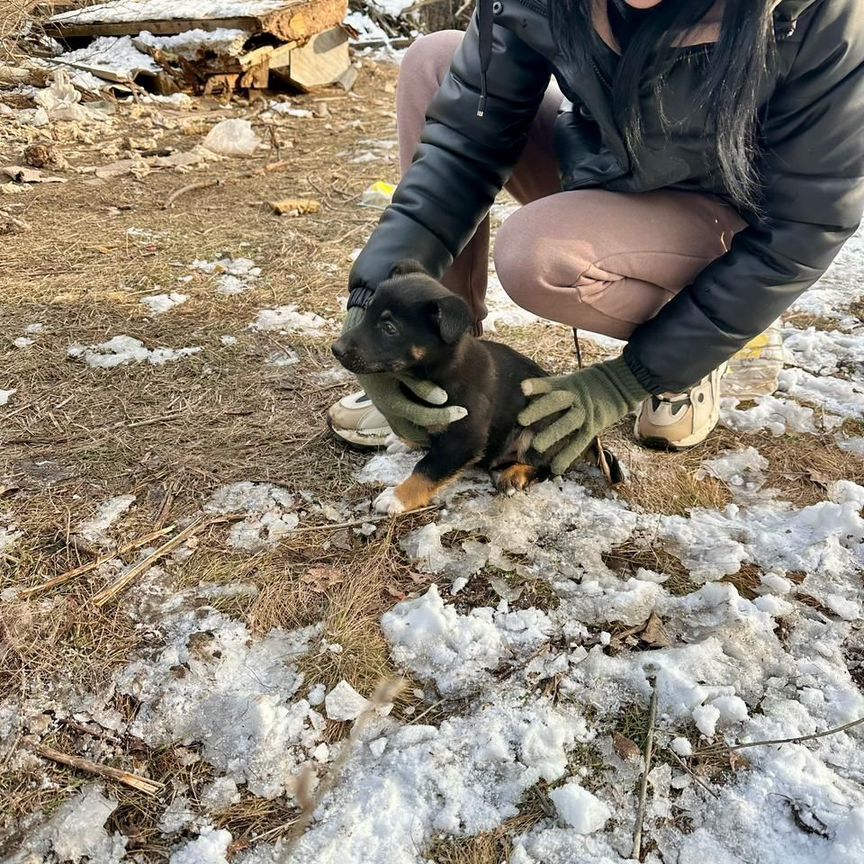 Малышик, будет небольшой