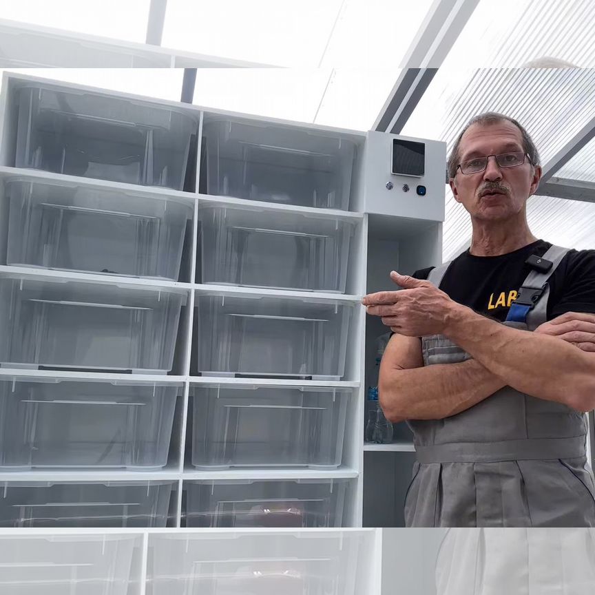 Террариум для рептилий на заказ