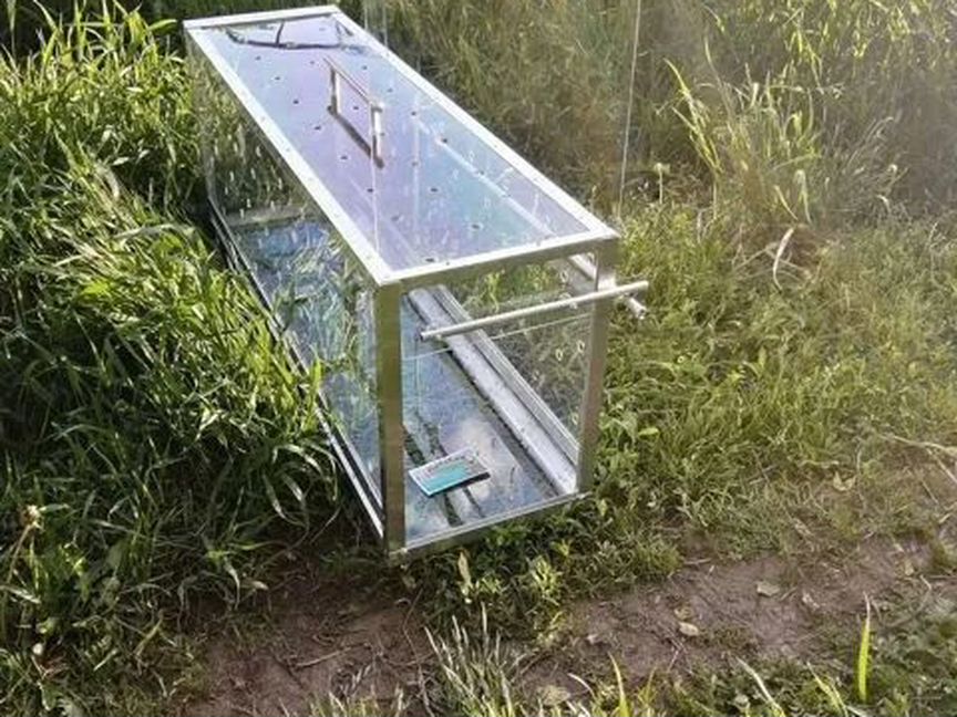 Котоловка