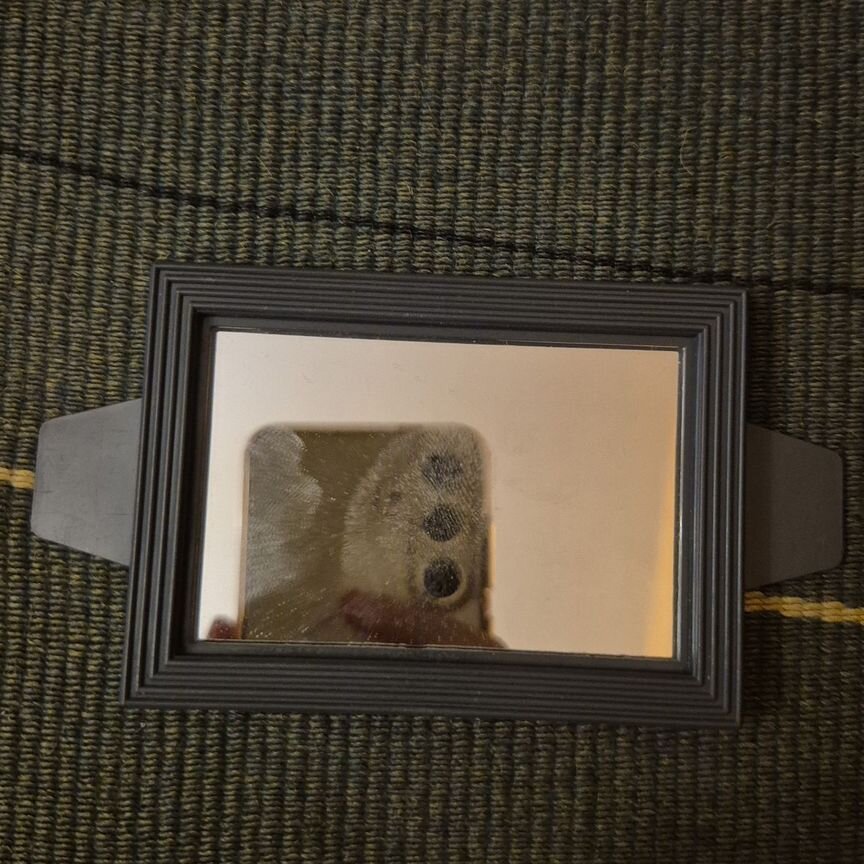 Зеркало для попугая (новое)