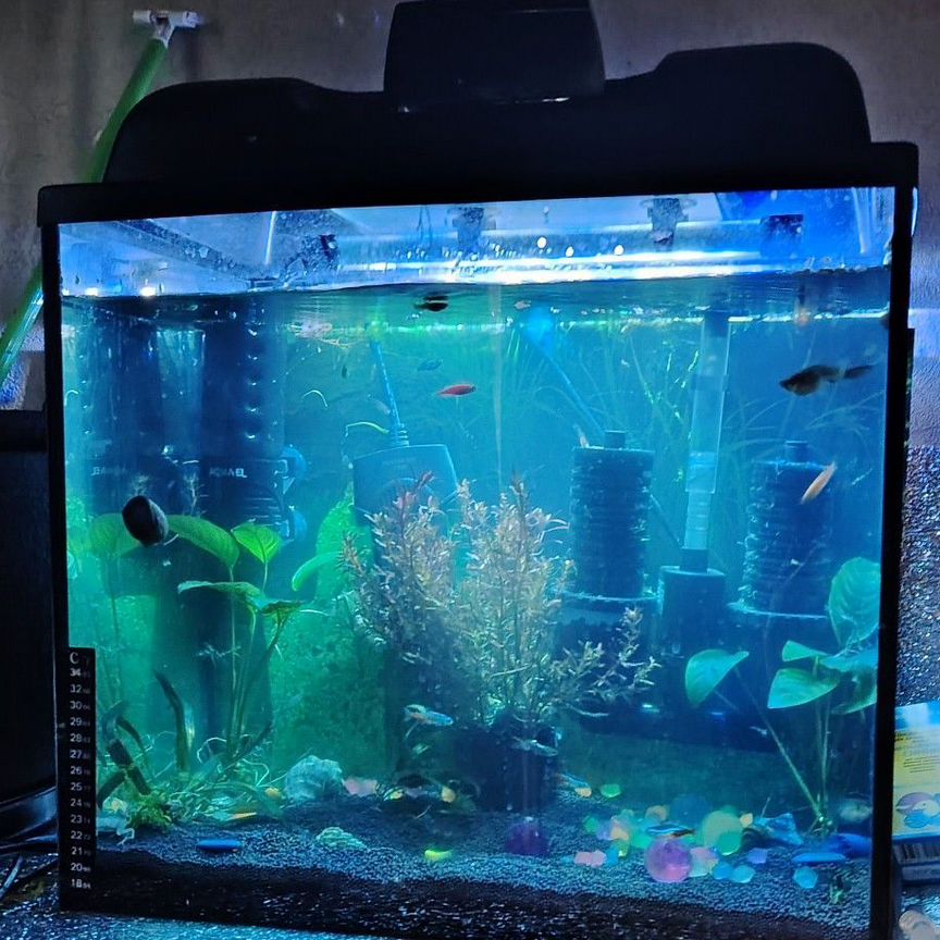Аквариум 20 литров и 35 литров