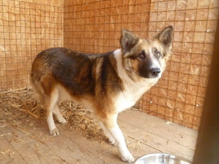 Меня приговорили.Дайте мне шанс на спасение