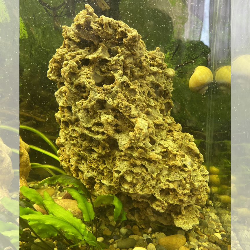 Камень песчаник в аквариум