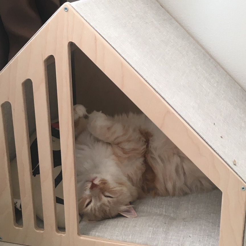 Домик для кота большой