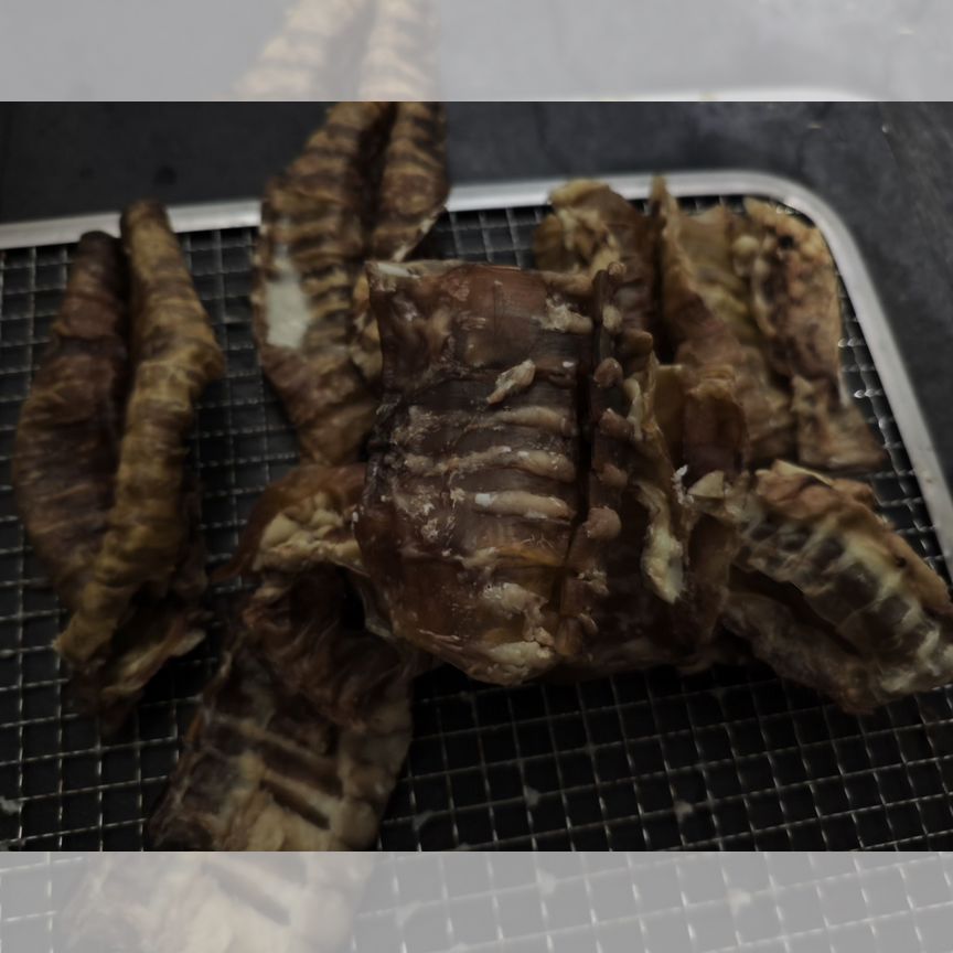 Сушеные лакомства для собак